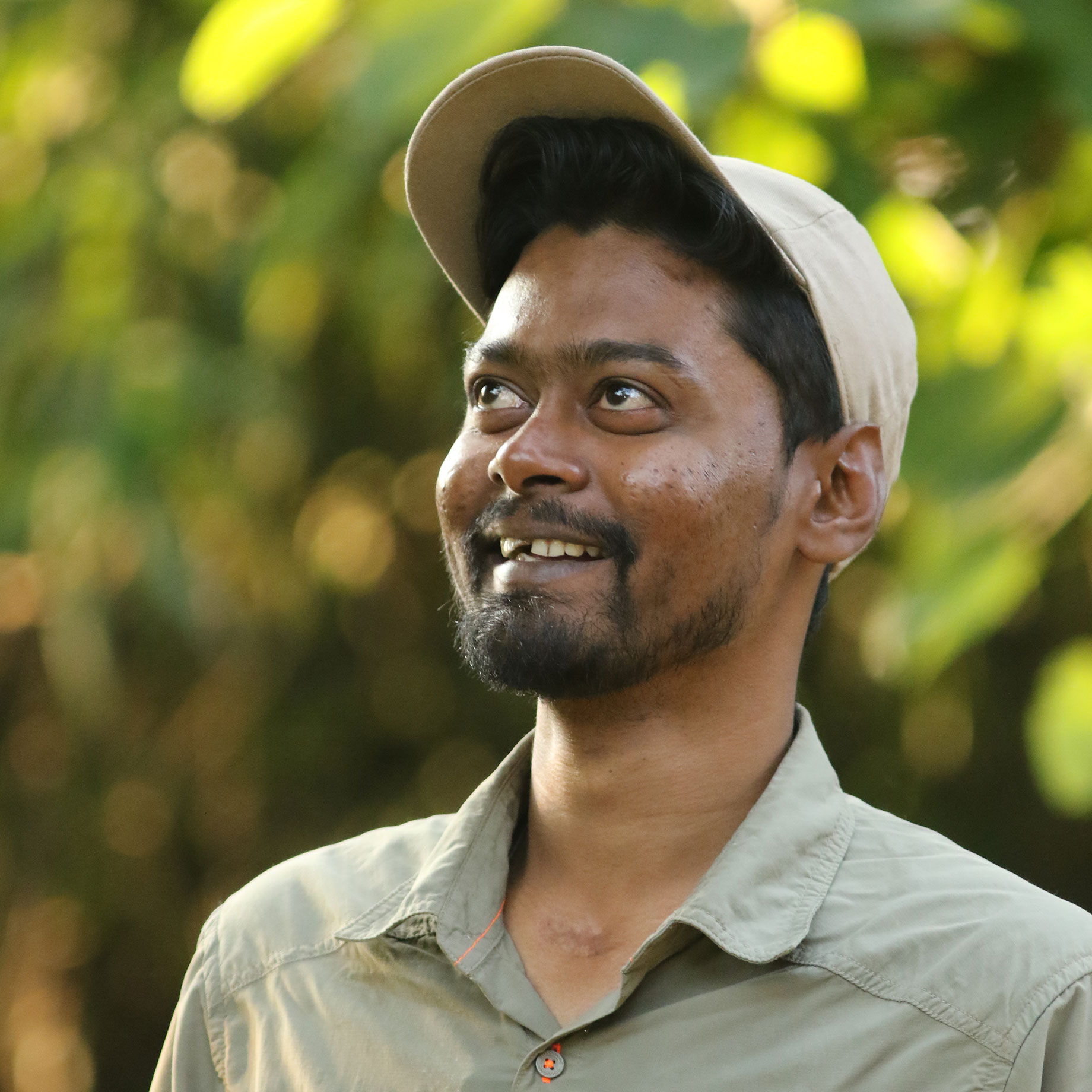 About - Flame of Forest